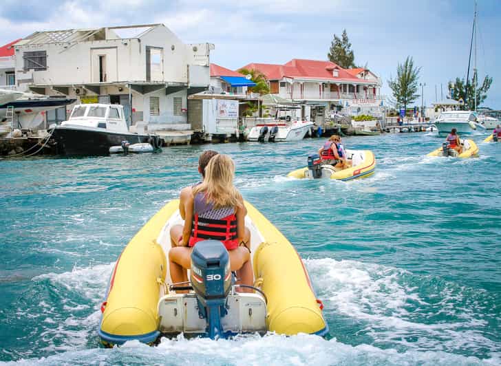 St. Martin: 3-Hour Rhino Safari Excursion | GetYourGuide