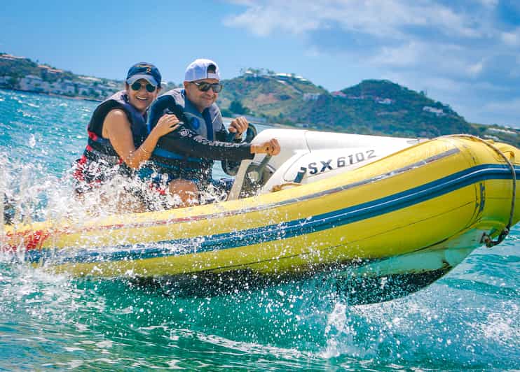 St. Martin: 3-Hour Rhino Safari Excursion | GetYourGuide