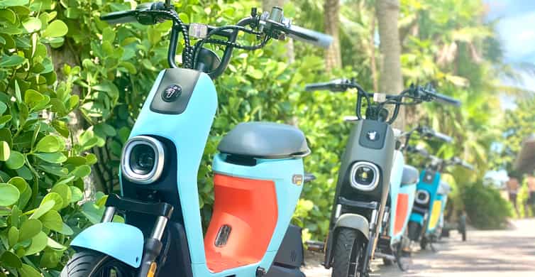 Naples, Florida - Segway Elektrische Brommer Tour - Plezier voor het ...