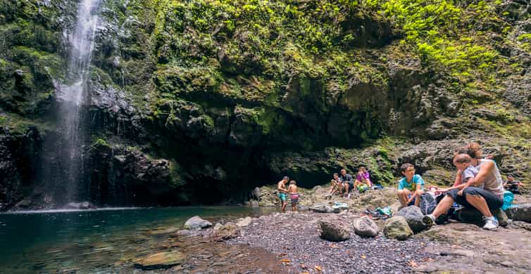 Madeira: Full-Day Laurel Forest Guided Walking Tour | GetYourGuide