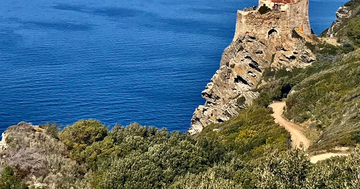 From Livorno: Gorgona Island Day Tour with Hike & Ferry Ride | GetYourGuide