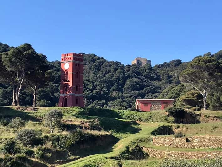 From Livorno: Gorgona Island Day Tour with Hike & Ferry Ride | GetYourGuide