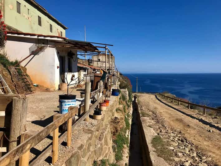 From Livorno: Gorgona Island Day Tour with Hike & Ferry Ride | GetYourGuide