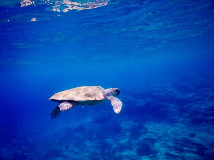 Från Milopotas: Ios Island Scenic Snorkeling Cruise | GetYourGuide