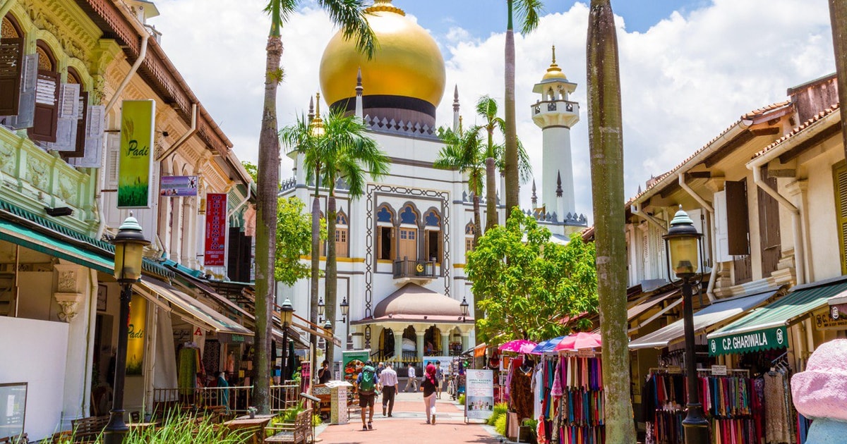 Singapore: Chinatown and Little India Guided Walking Tour | GetYourGuide