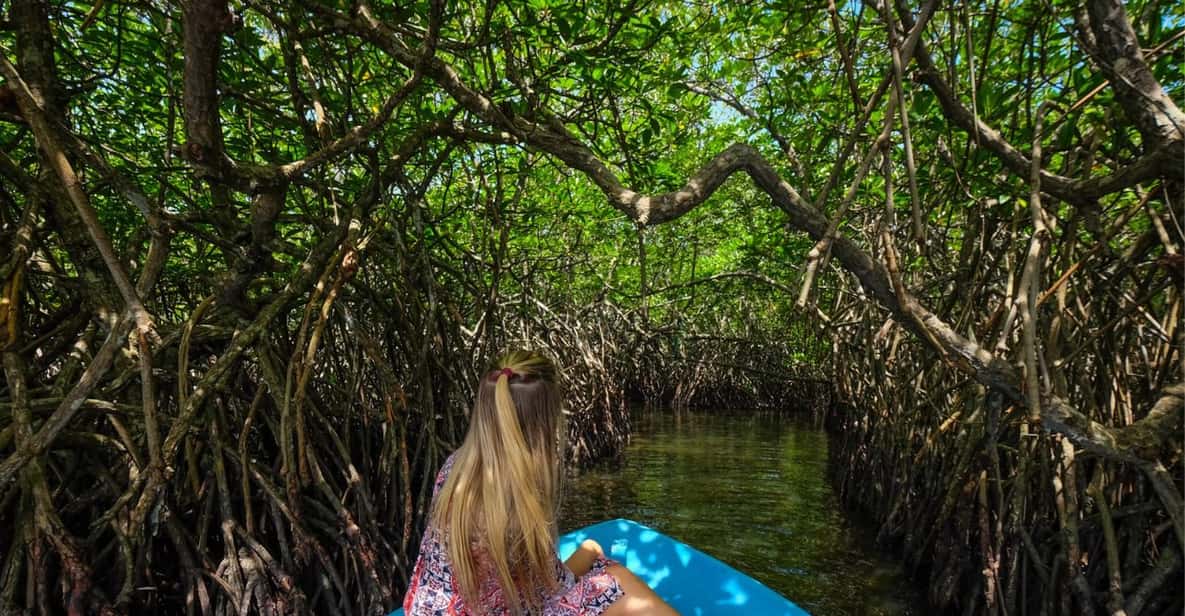 From Galle: Exclusive Madu River Safari & Turtle Hatchery | GetYourGuide