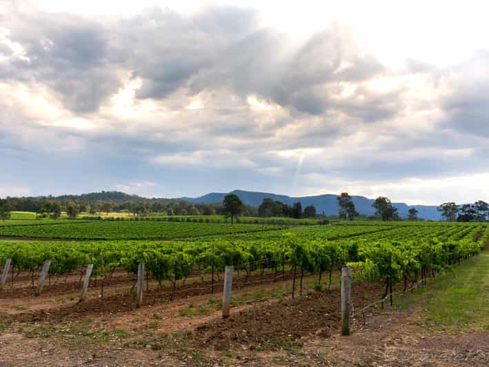 Guadalajara: San Luis Soyatlán and Vineyards Tour With Lunch | GetYourGuide