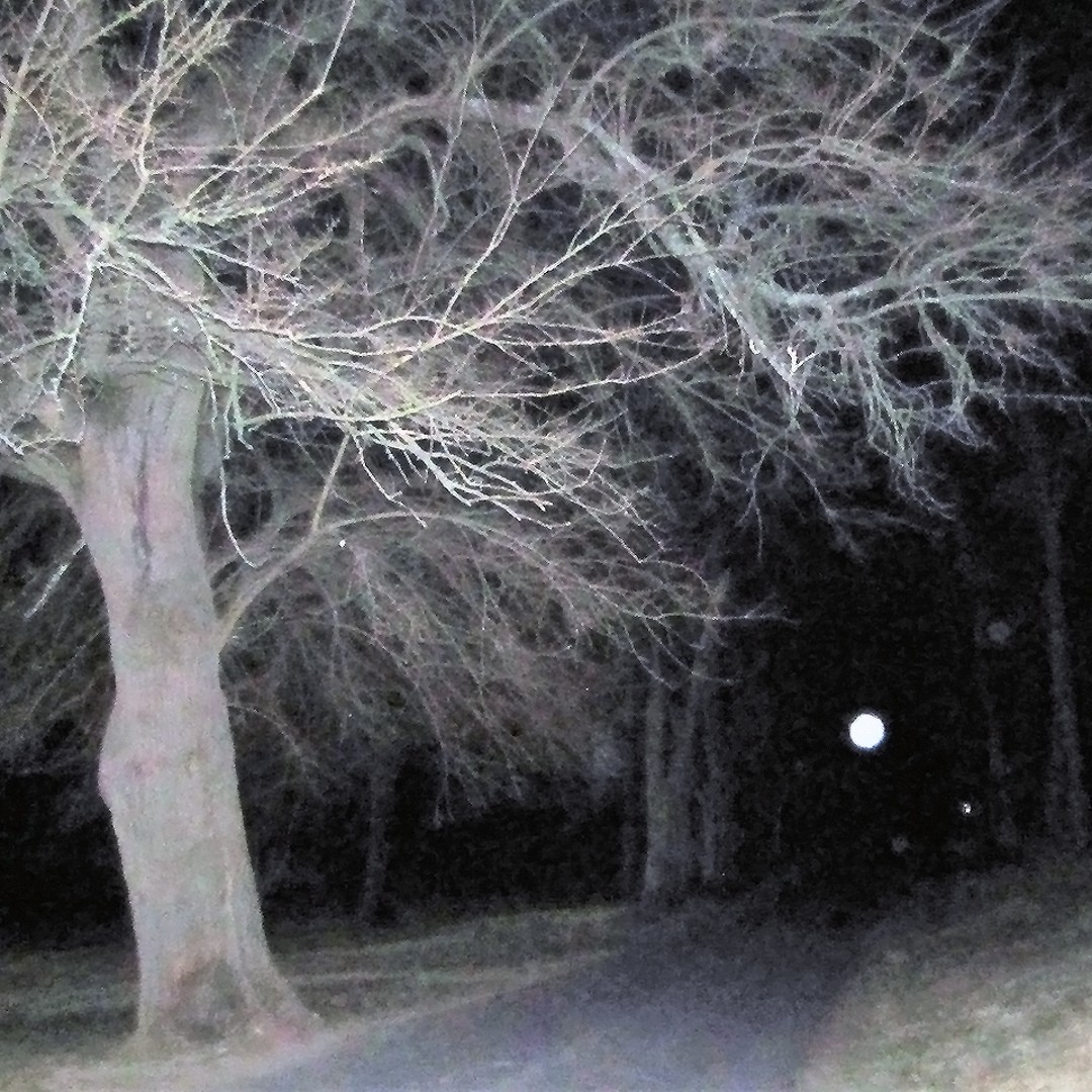 Gettysburg: Ghost Hunt Tour with Ghost Hunting Equipment | GetYourGuide