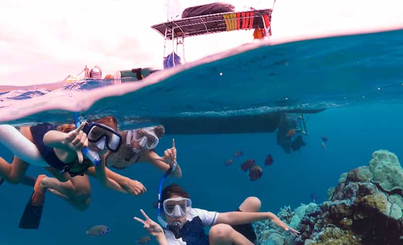 From Lahaina: Eco-Raft Snorkel and Dolphin Tour to Lanai | GetYourGuide