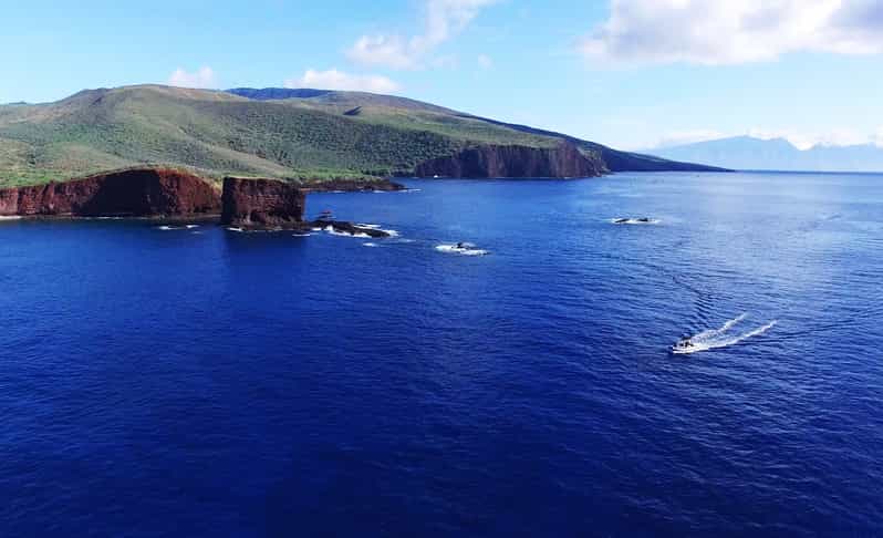 Maui: Semi-Private Eco-Raft Lanai Snorkel & Dolphin Tour | GetYourGuide