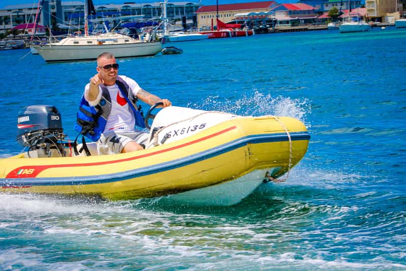 St. Martin: 3-Hour Rhino Safari Excursion | GetYourGuide