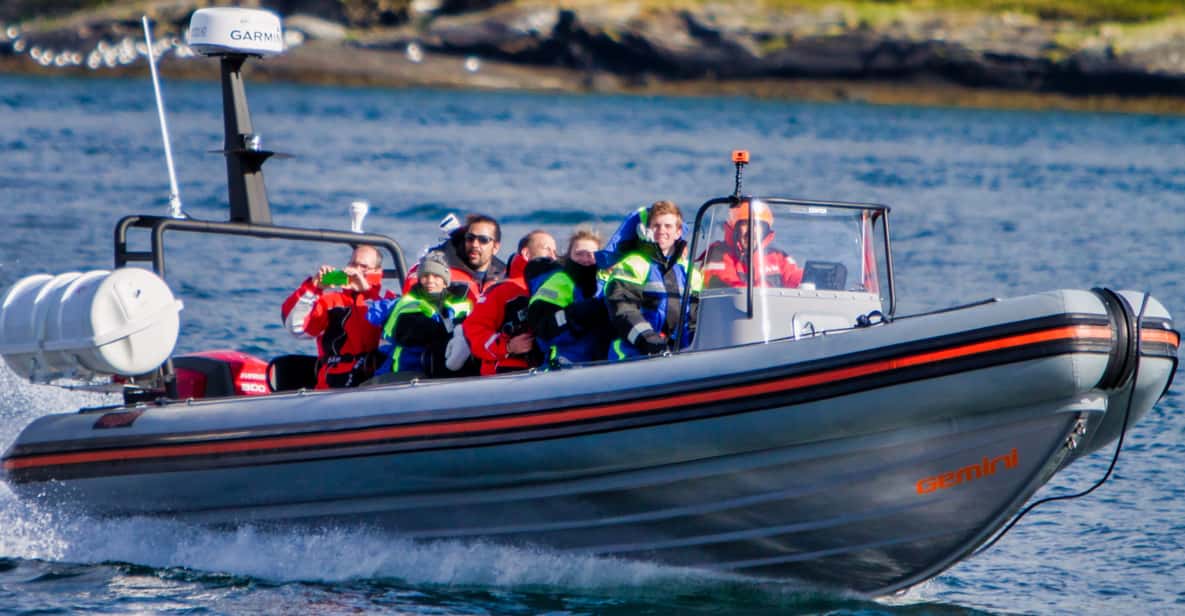 Tromso: Private RIB Speedboat Tour of Hella | GetYourGuide