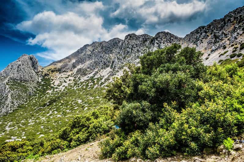Din Tanger: Excursie la Jbel Moussa | GetYourGuide