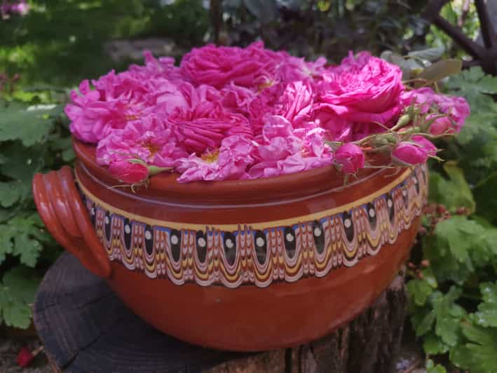 Sofia: Kazanlak & Damascena rose distillery Rose Tour | GetYourGuide
