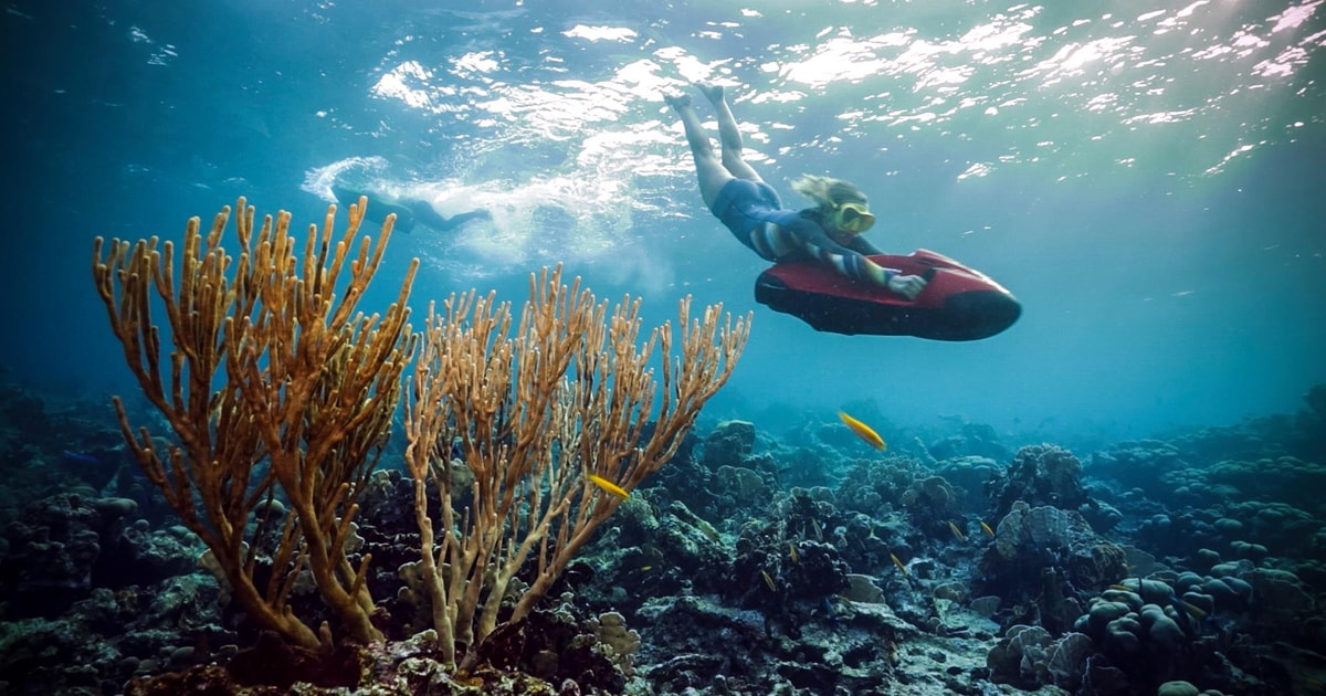 West Palm Beach: Snorkel and SeaBob Underwater Reef Tour | GetYourGuide