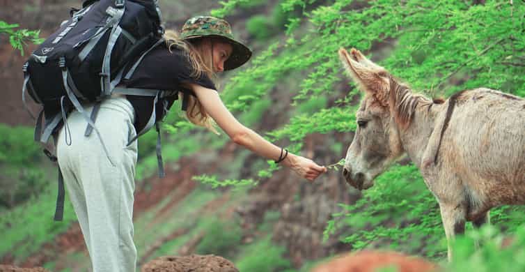 Santiago: Senderismo por el Valle de Calabaceira y Visita a la Cidade ...