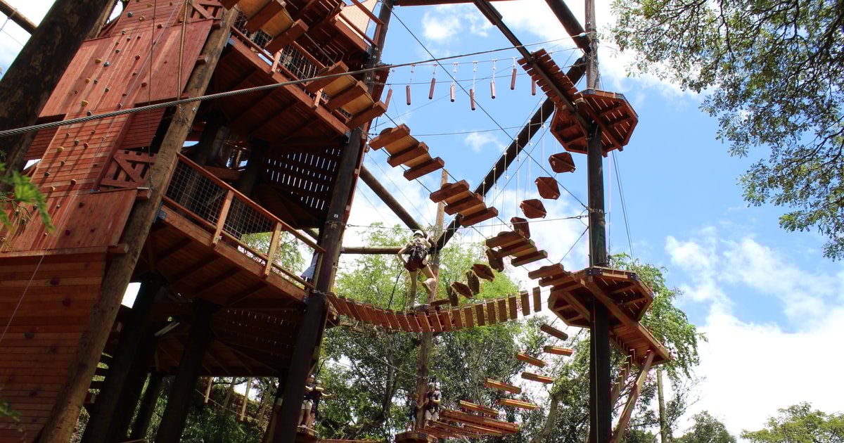 Oahu: Coral Crater Aerial Challenge Course | GetYourGuide