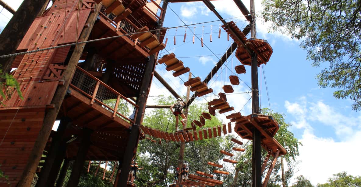 Oahu: Coral Crater Aerial Challenge Course | GetYourGuide