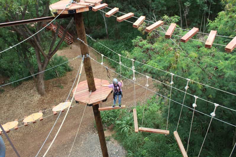Oahu: Coral Crater Aerial Challenge Course | GetYourGuide