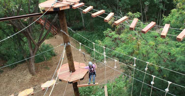 Oahu: Coral Crater Aerial Challenge Course | GetYourGuide