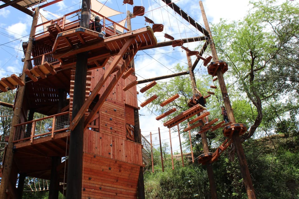 Oahu: Coral Crater Aerial Challenge Course | GetYourGuide