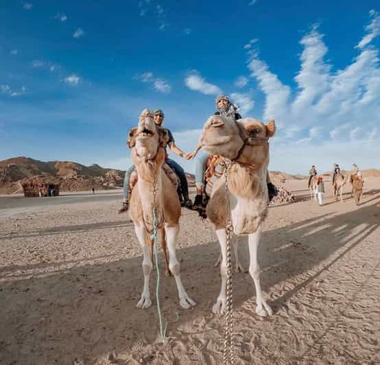 Hurghada: Desert Quad Safari, Wielbłądy i Beduin Town | GetYourGuide