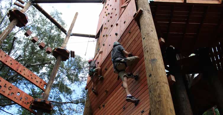 Oahu: Aerial Adventure, Climbing, & Freefall Experience | GetYourGuide