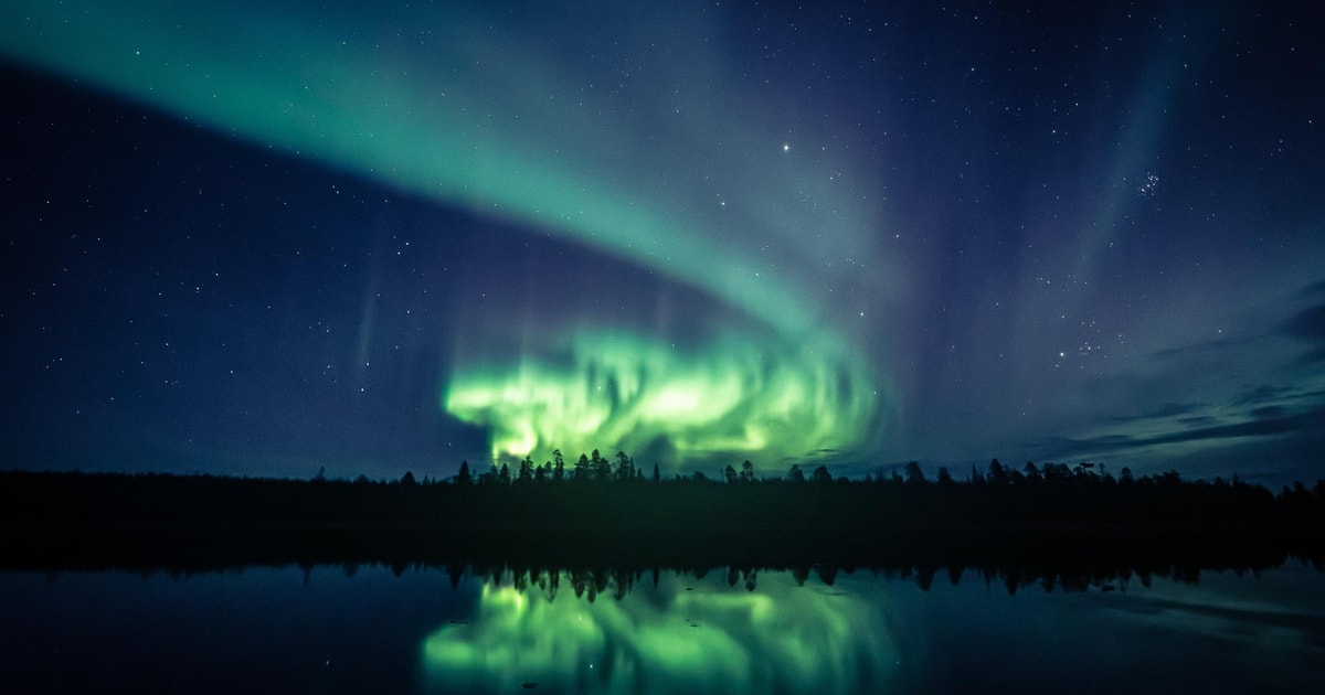 Laponsko: Jízda huskyho spřežením za polární záře | GetYourGuide