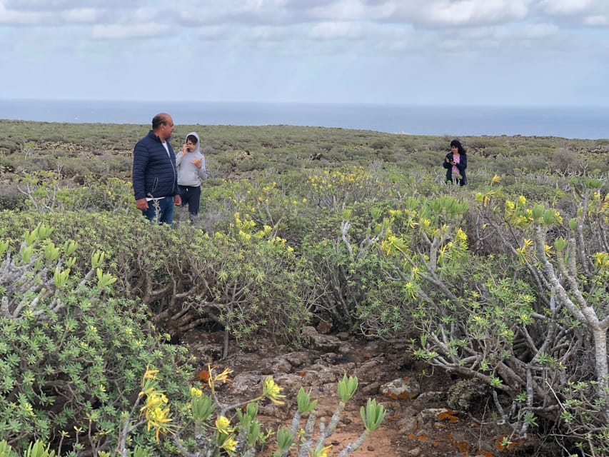 Lanzarote: A Different Perspective Guided Driving Tour | GetYourGuide