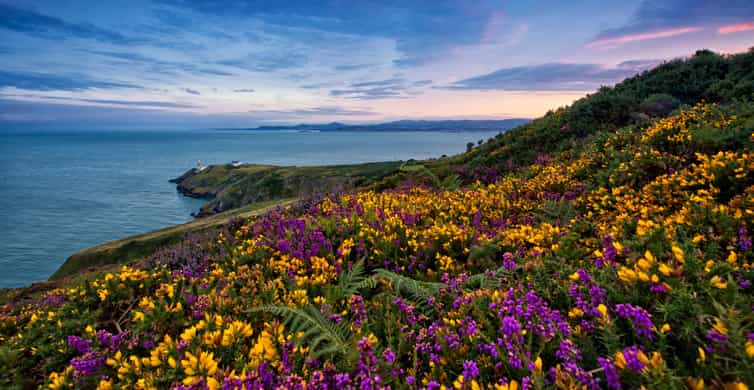 From Dublin: Half-Day Guided Coastal Tour to Howth Village | GetYourGuide