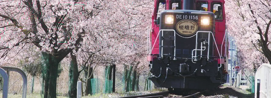 Arashiyama, Kyoto - Book Tickets & Tours | GetYourGuide