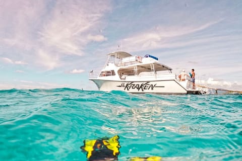 The BEST Fajardo Tours and Things to Do in 2022 - FREE Cancellation ...