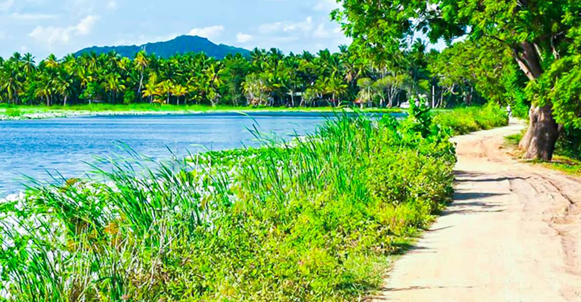 얄라의 마을 생활 탐험 | GetYourGuide