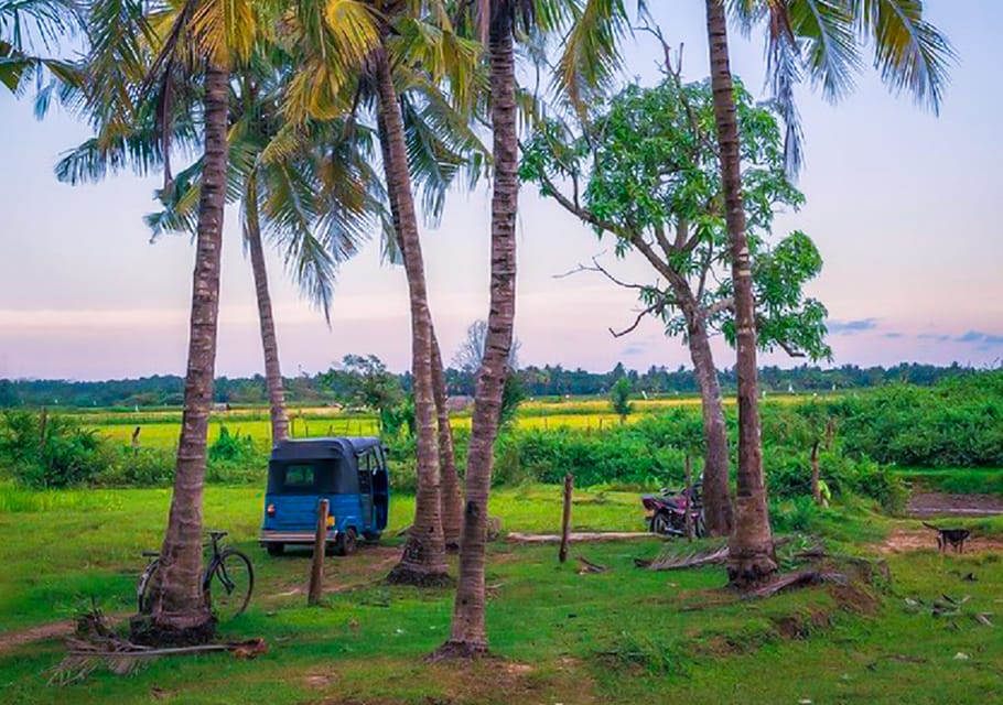 Village Life exploration in Yala | GetYourGuide
