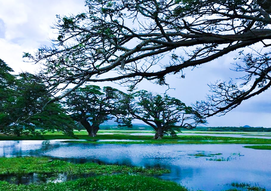 Village Life exploration in Yala | GetYourGuide