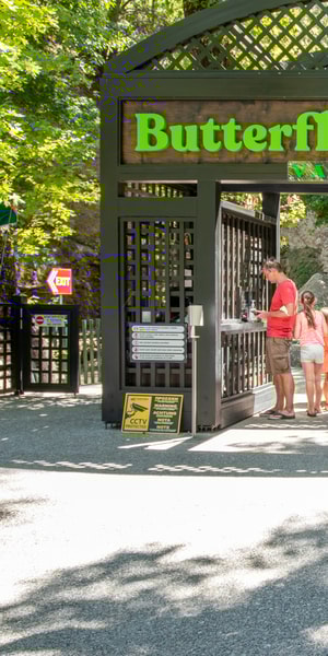 Rhodes: Butterfly Valley and Seven Springs Valley Day Trip | GetYourGuide