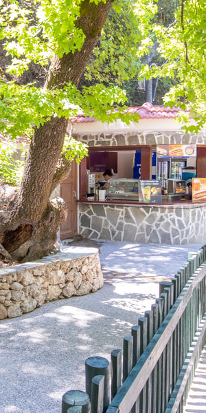 Rhodes: Butterfly Valley and Seven Springs Valley Day Trip | GetYourGuide