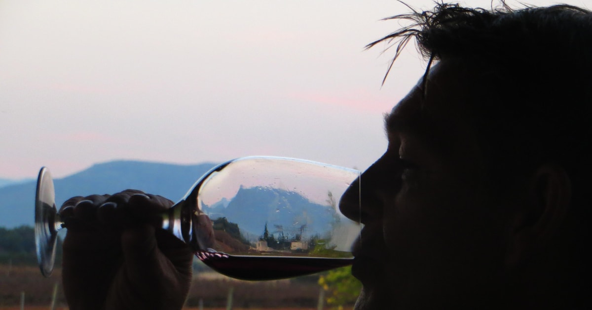 Mallorca: Excursión a Bodegas en Minibús XL - 3 Degustaciones incluidas ...