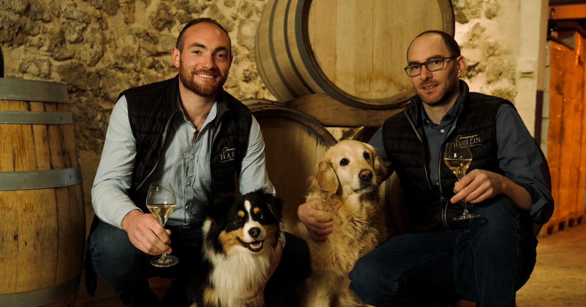 Champagne Cellar Experience: Explore our historic cellars | GetYourGuide