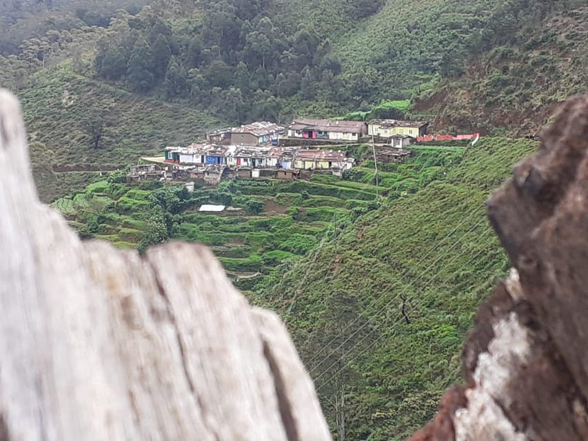 Sendero que va de Haputele a las cataratas de Bambarakanda | GetYourGuide