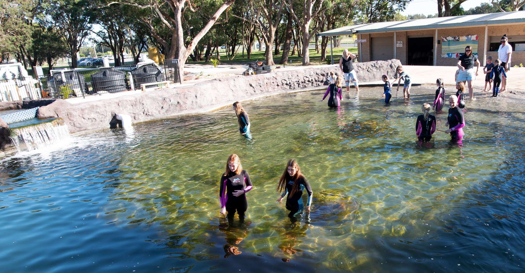 Anna Bay, Irukandji Entry and Shallow Water Shark Encounter | Water ...