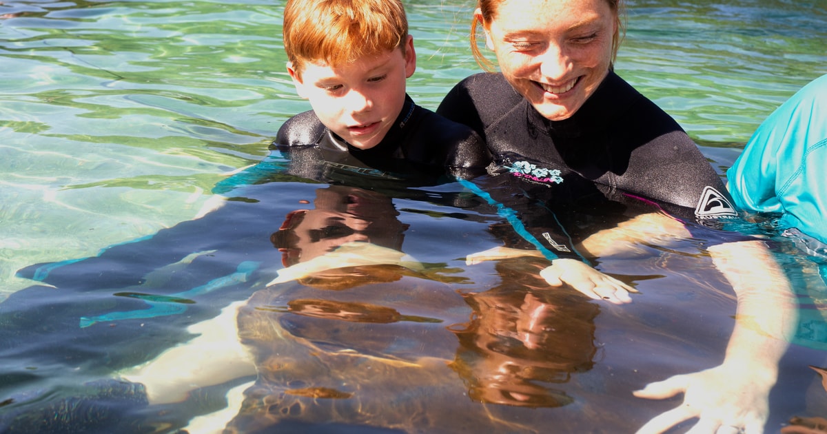 Irukandji Entry Pass + Little Ray Cuddle | GetYourGuide