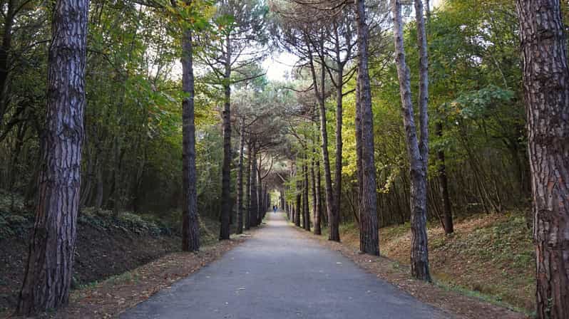 Istanbul: Outdoor Nature Experience with Rumeli Fortress | GetYourGuide