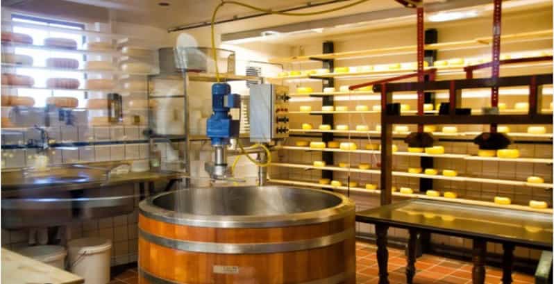 Zaanse Schans - Cheesefactory -Volendam, Private Tour. | GetYourGuide