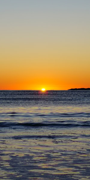 Sunny Beach: Sunset Catamaran Cruise with Dinner & Prosecco | GetYourGuide