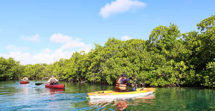 Cancun: Morning Kayak Adventure | GetYourGuide