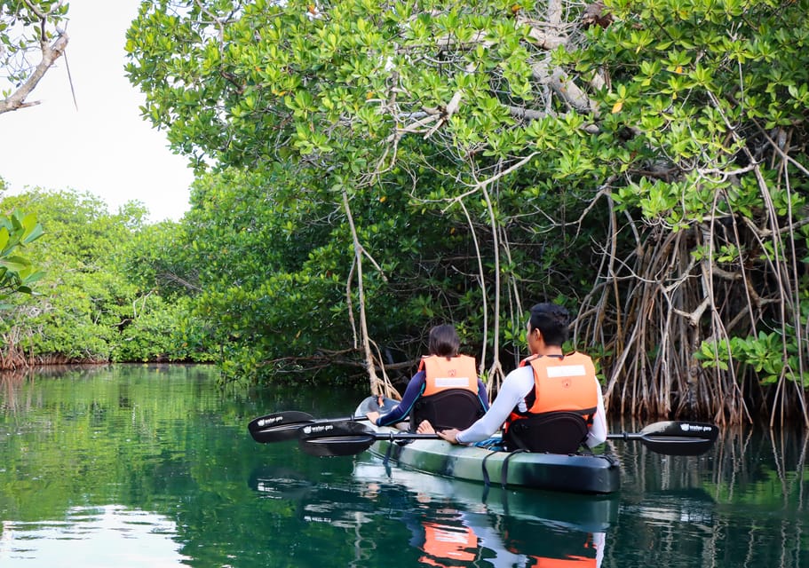 Cancun: Morning Kayak Adventure | GetYourGuide