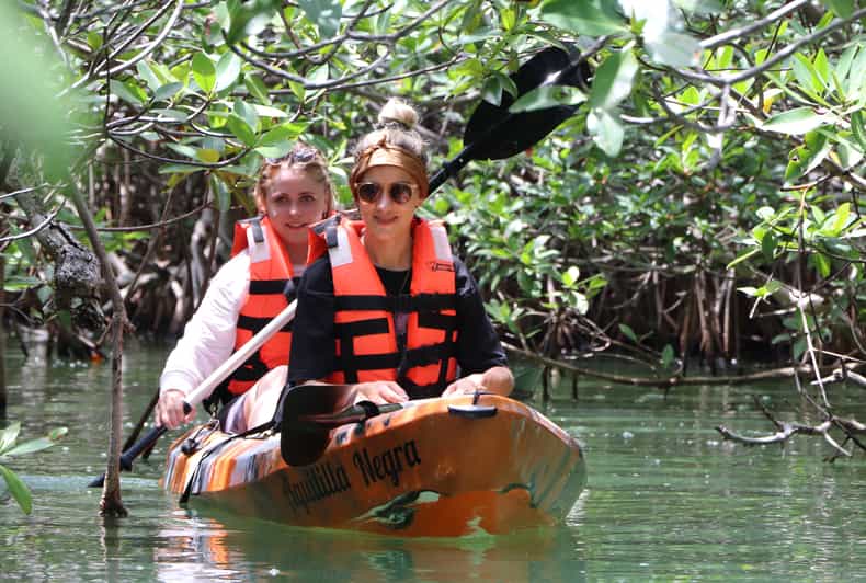 Cancun: Sunset Kayak Experience in the Mangroves | GetYourGuide