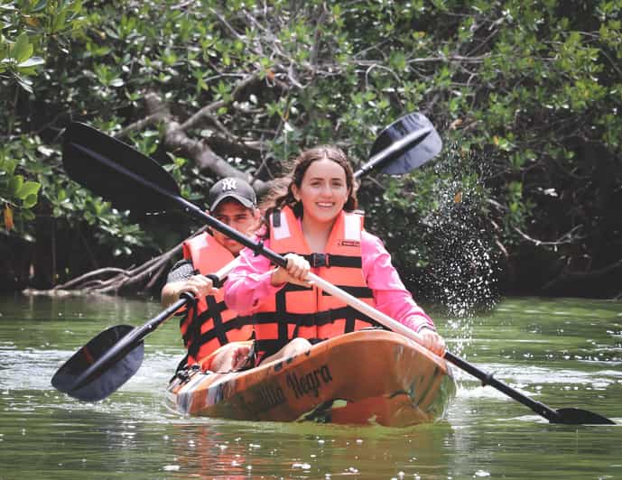 Cancun: Sunset Kayak Experience in the Mangroves | GetYourGuide