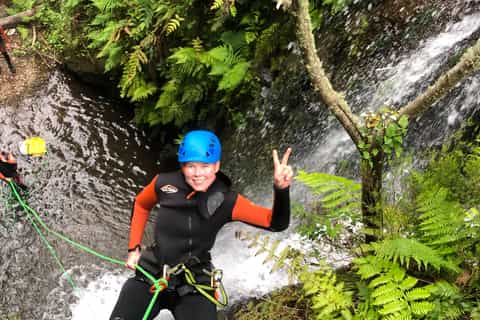 Lokoloko Madeira | Proveedor de GetYourGuide